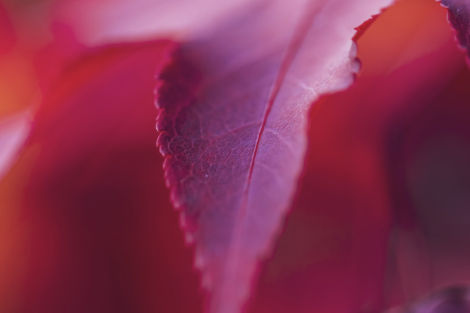 PHINIA - Advancing sustainability today